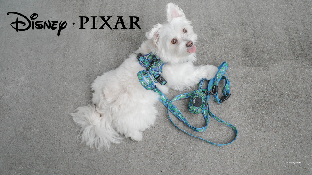 Shop The Paws | No.1 Favourite Online Pet Shop Singapore